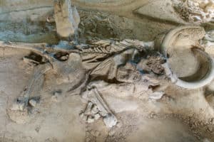 16 Interesting Facts About Woolly Mammoths